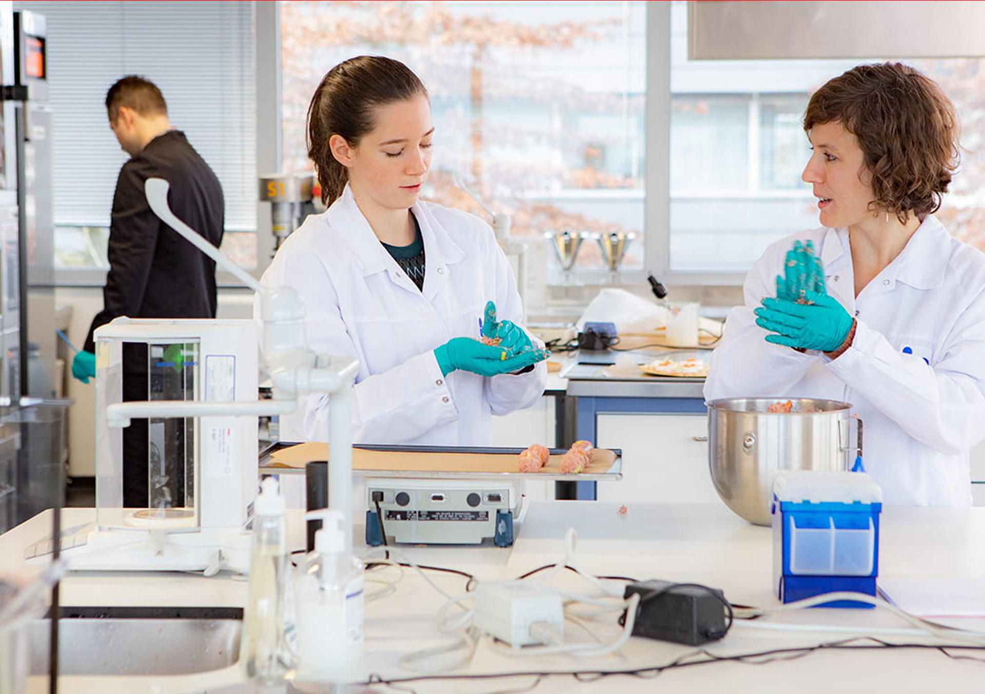 Technical Expertise - Food & Nutrition | IMCD